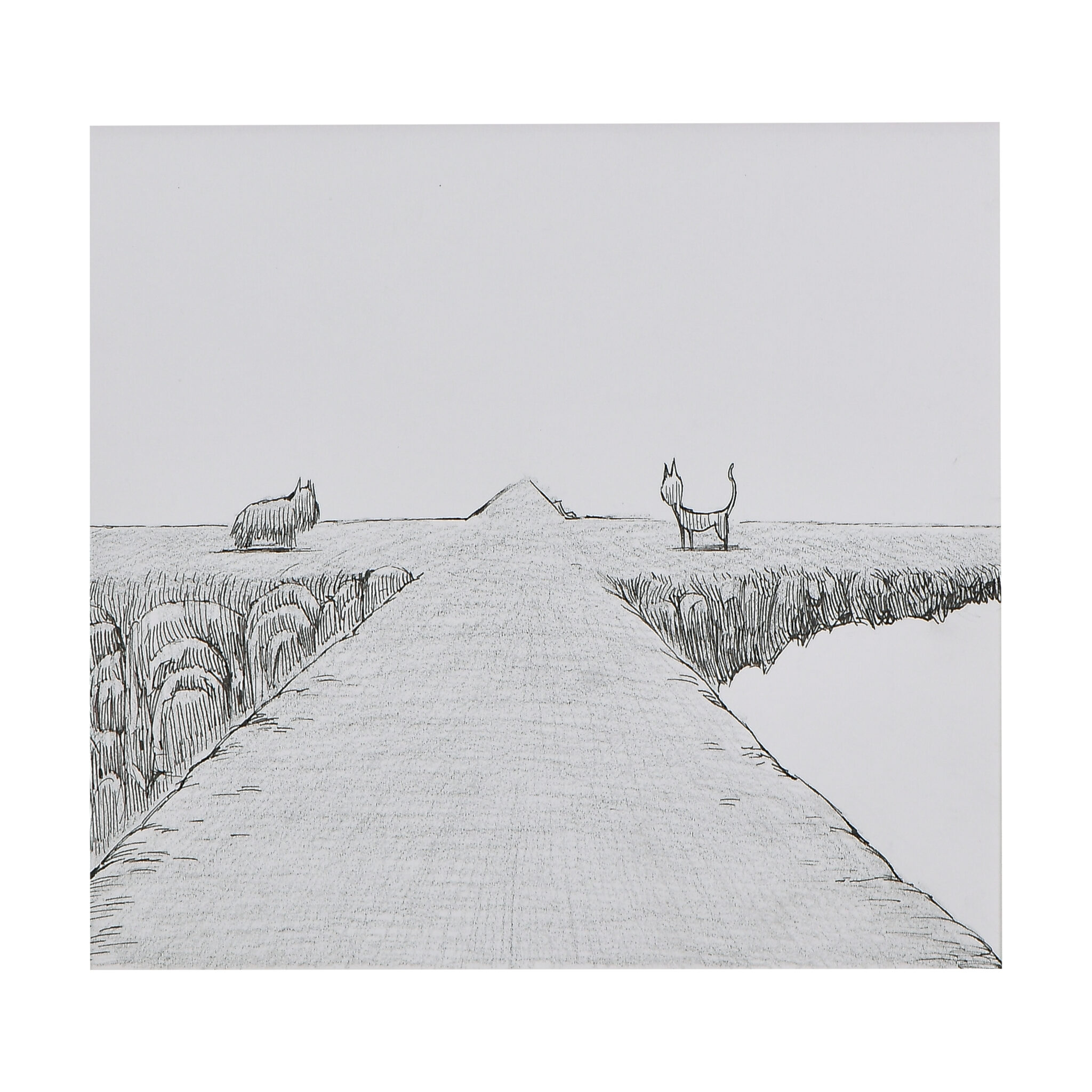 MEANING OF THE PATHS - TRENDY GALLERY